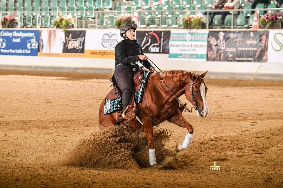 GERMAN OPEN 2019 - WESTERNREITER ONLINE